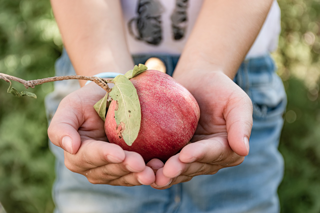 Jewish Holidays in Israel | Tzohar - activities, prayers & celebrations