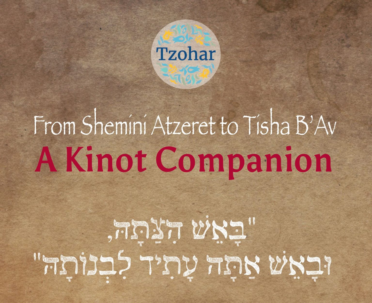Tzohar | Jewish Culture & Community for Observant & Secular Jews Israel
